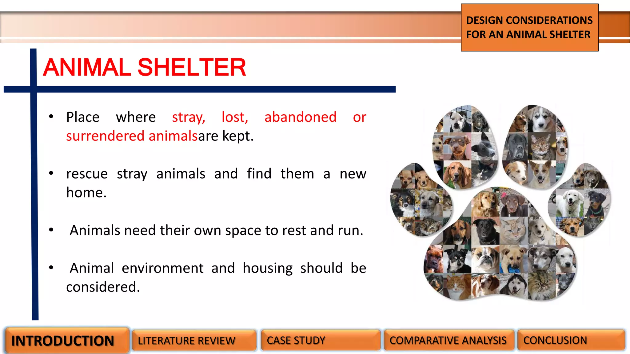 Space Recommendations for an ANimal Shelter | PPTX