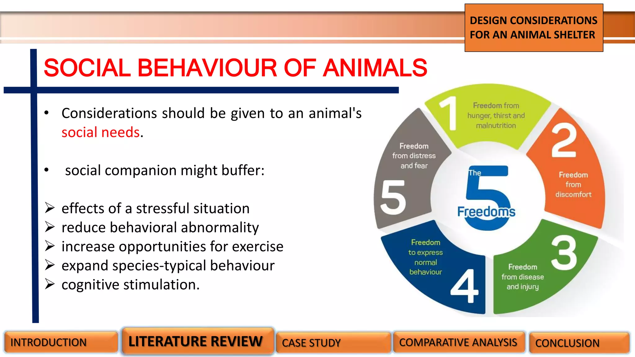 Space Recommendations for an ANimal Shelter | PPTX