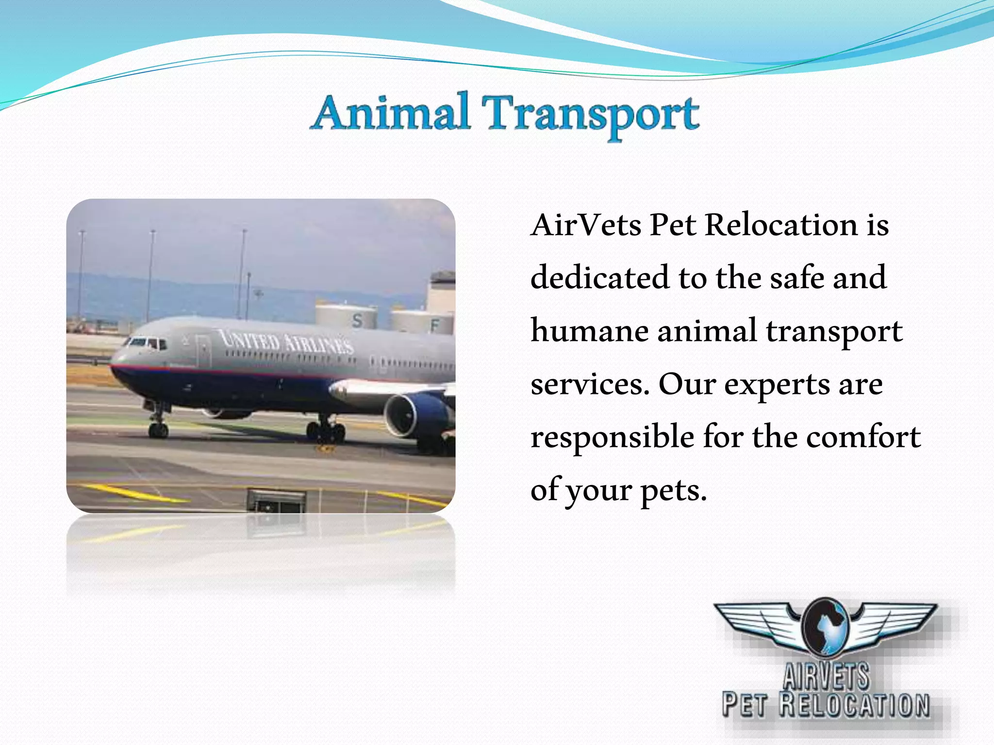 Animal shipping service | PPTX