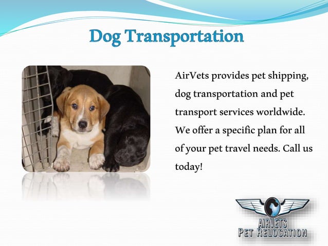 Animal shipping service | PPTX