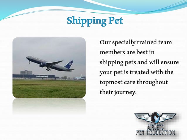 Animal shipping service | PPTX