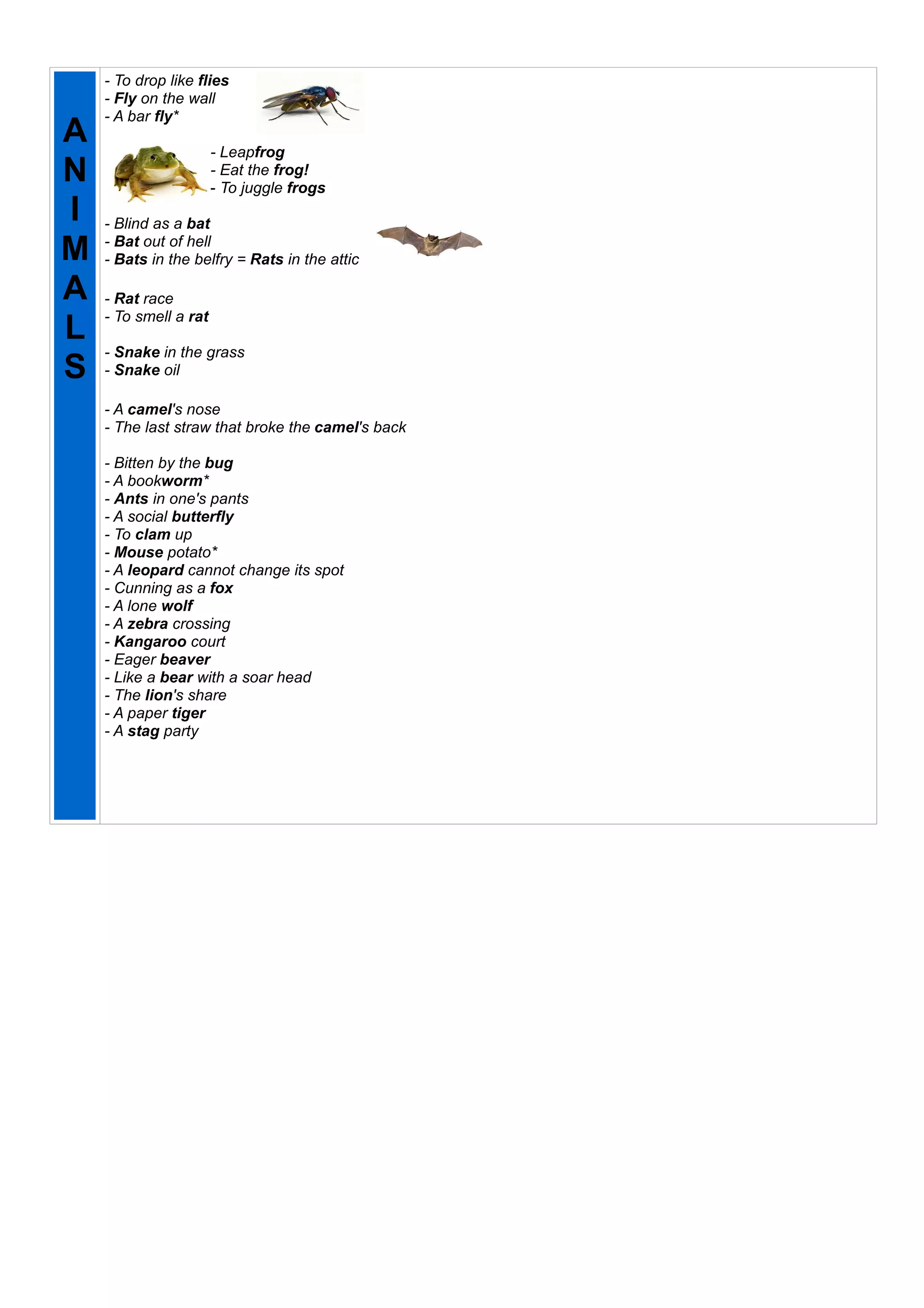 English Expressions with Animals | PDF