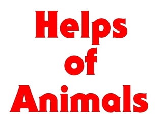 Animal's importance | PPT