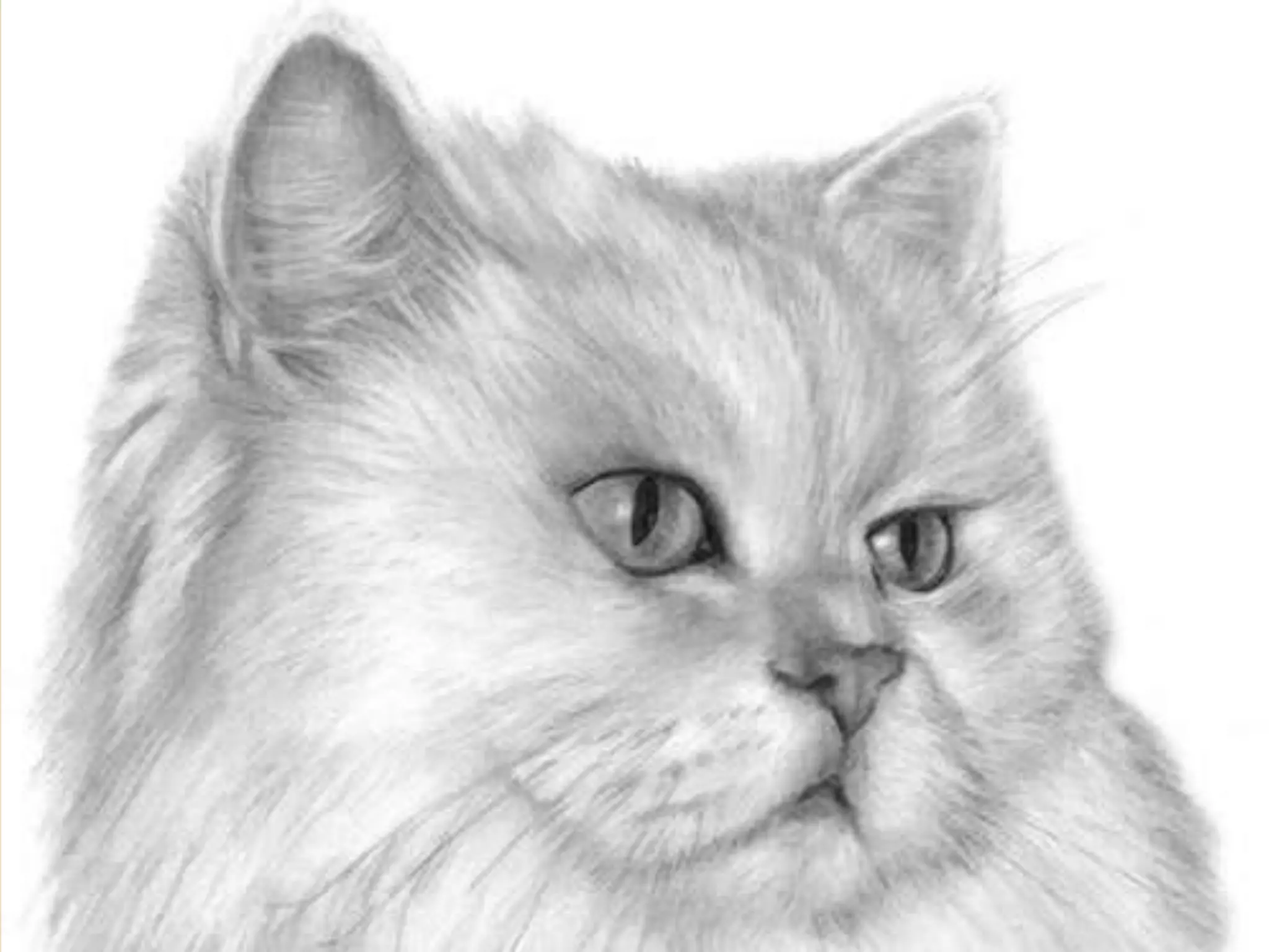 Animals in art (catherine) | PPSX