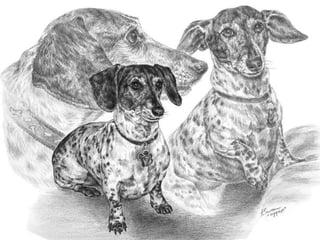 Animals in art (catherine) | PPSX