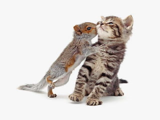 Animals in art (catherine) | PPSX