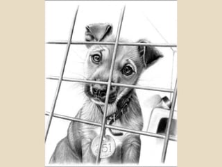 Animals in art (catherine) | PPSX