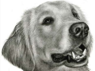 Animals in art (catherine) | PPSX