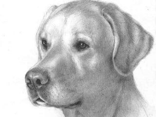 Animals in art (catherine) | PPSX