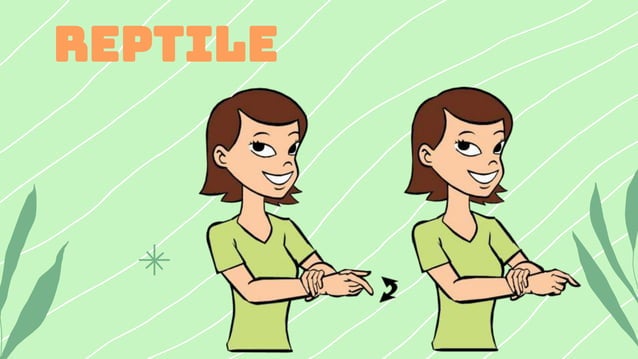 Animals in ASL.pptx