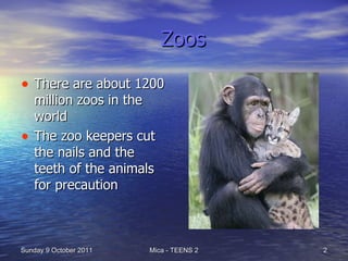 Animals in Captivity and Extinction | PPT