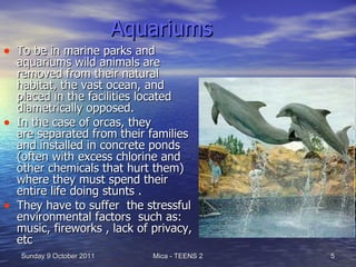 Animals in Captivity and Extinction | PPT