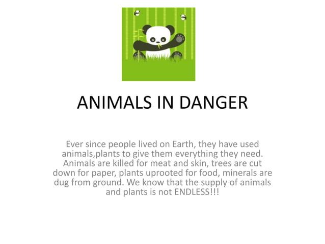 Animals in danger | PPT