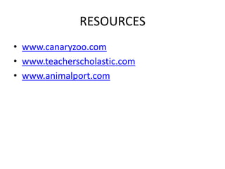 Animals in danger | PPT