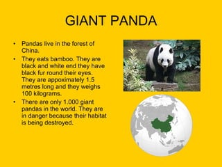 Animals In Danger | PPT