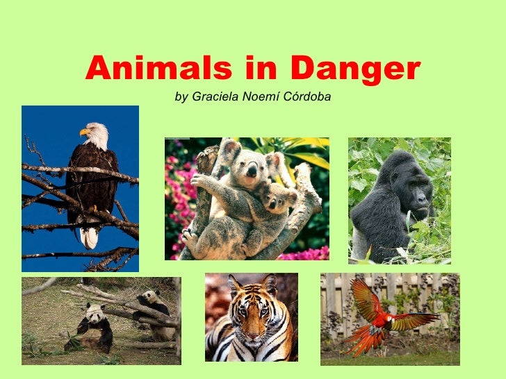 Danger Animal Quotes