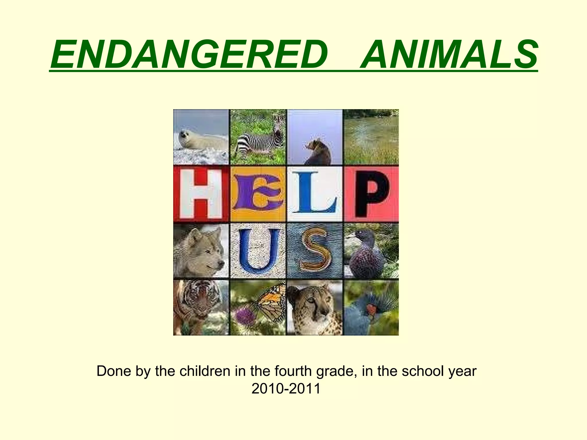 Animals in danger | PPT