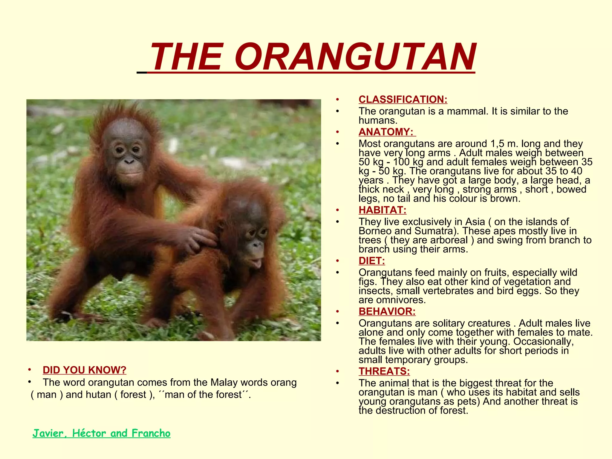 Animals in danger | PPT