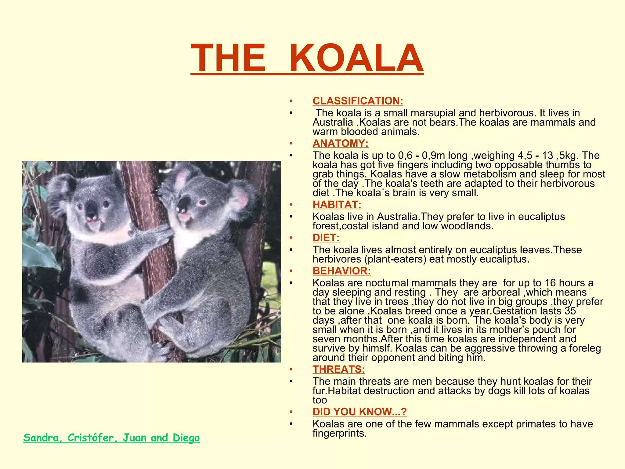 Animals in danger | PPT