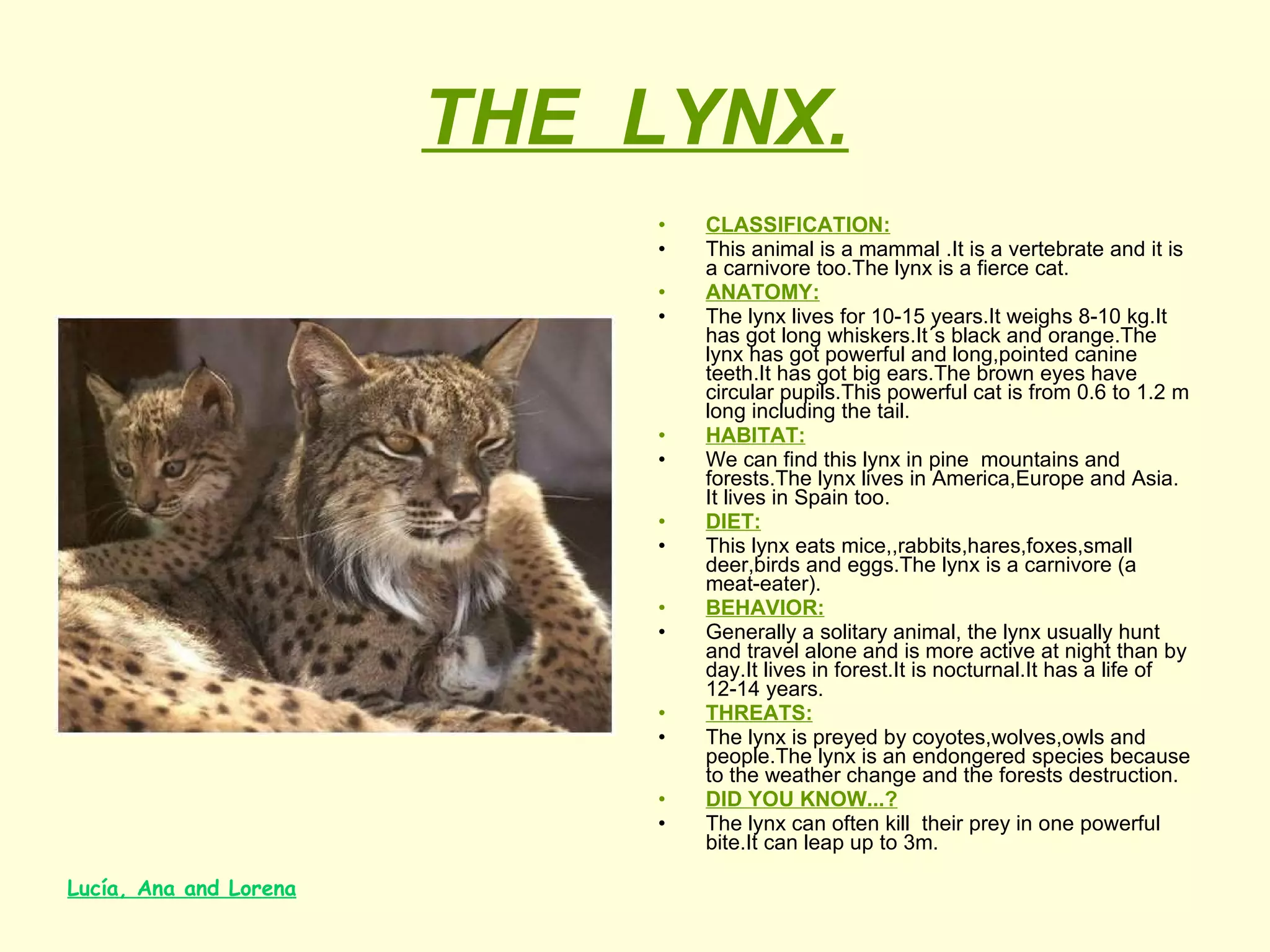 Animals in danger | PPT