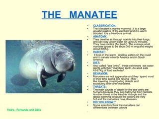 Animals in danger | PPT