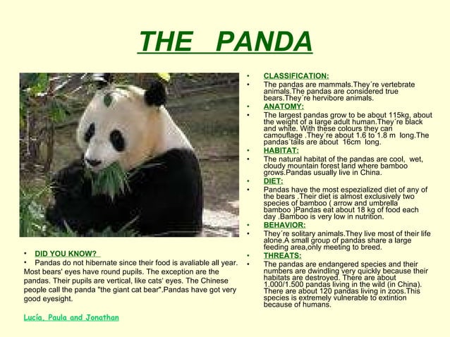 Animals in danger | PPT