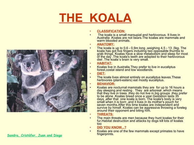 Animals in danger | PPT