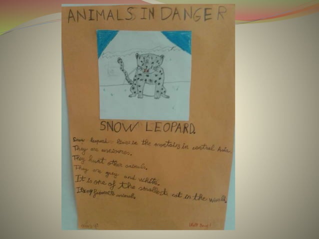 Animals in danger | PPSX