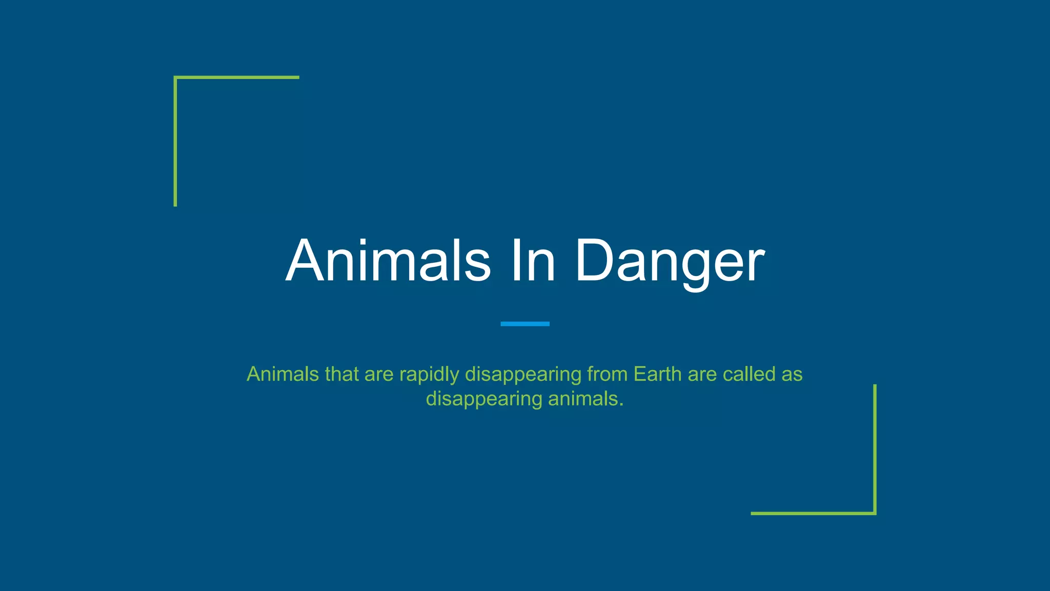 Animals in danger | PPT