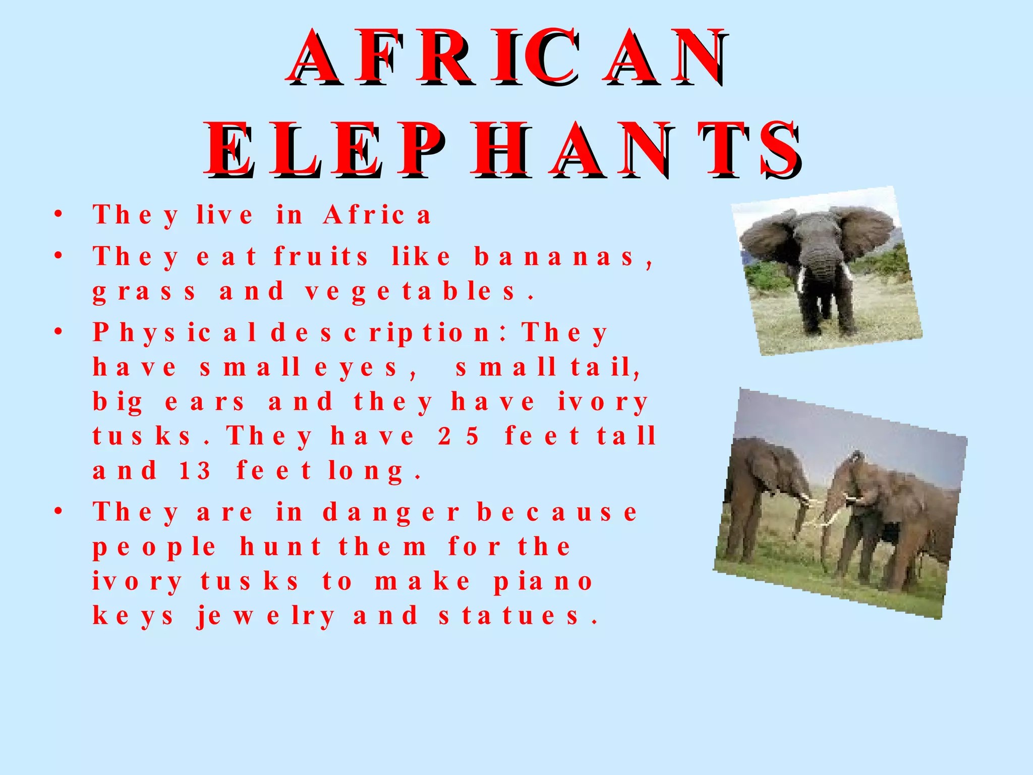 Animals In Danger | PPT