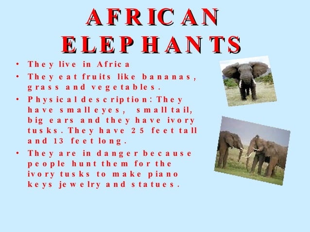 Animals In Danger | PPT | Zoos & Aquariums | Attractions