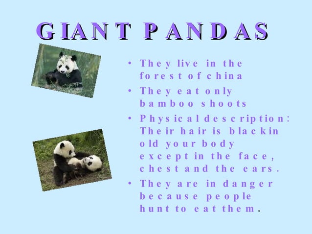 Animals In Danger | PPT | Zoos & Aquariums | Attractions