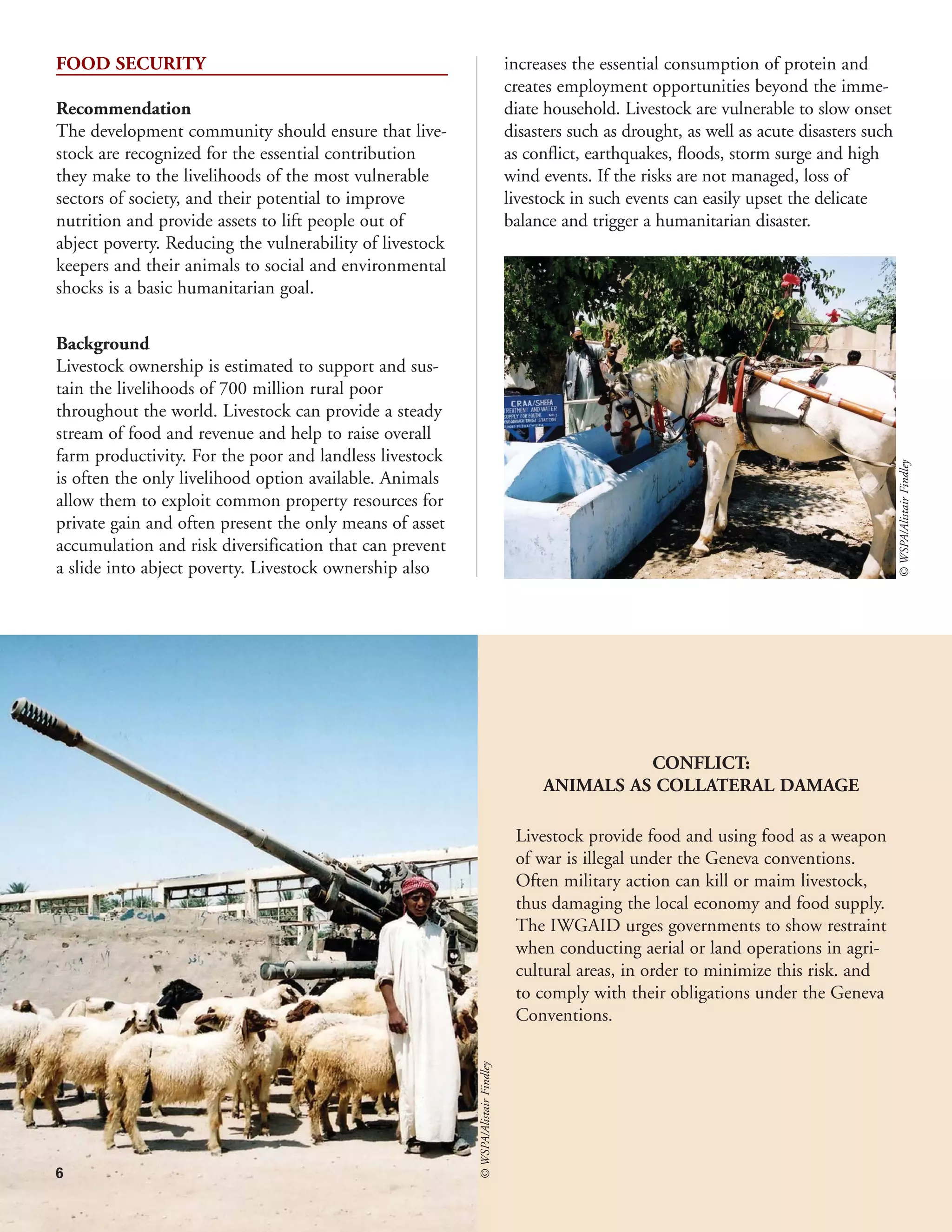 Animals in Disasters | PDF