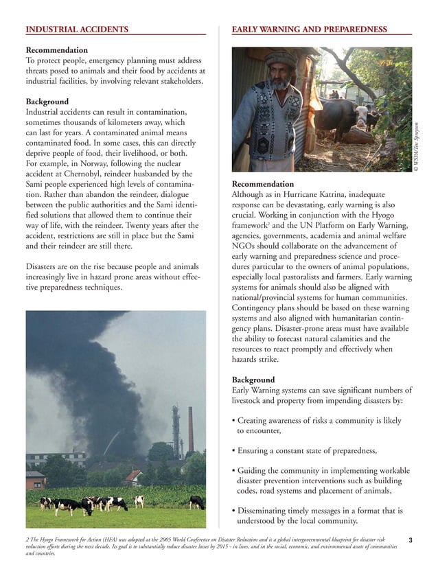 Animals in Disasters | PDF