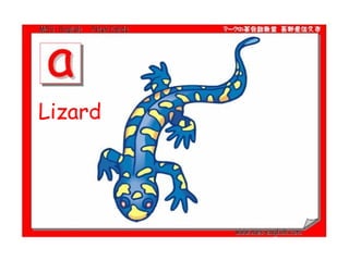 Animals in english 3 (Aula de Inglês) | PPT