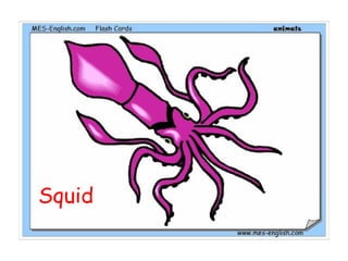 Animals in english 4 (Aulas de Inglês) | PPT | Zoos & Aquariums ...