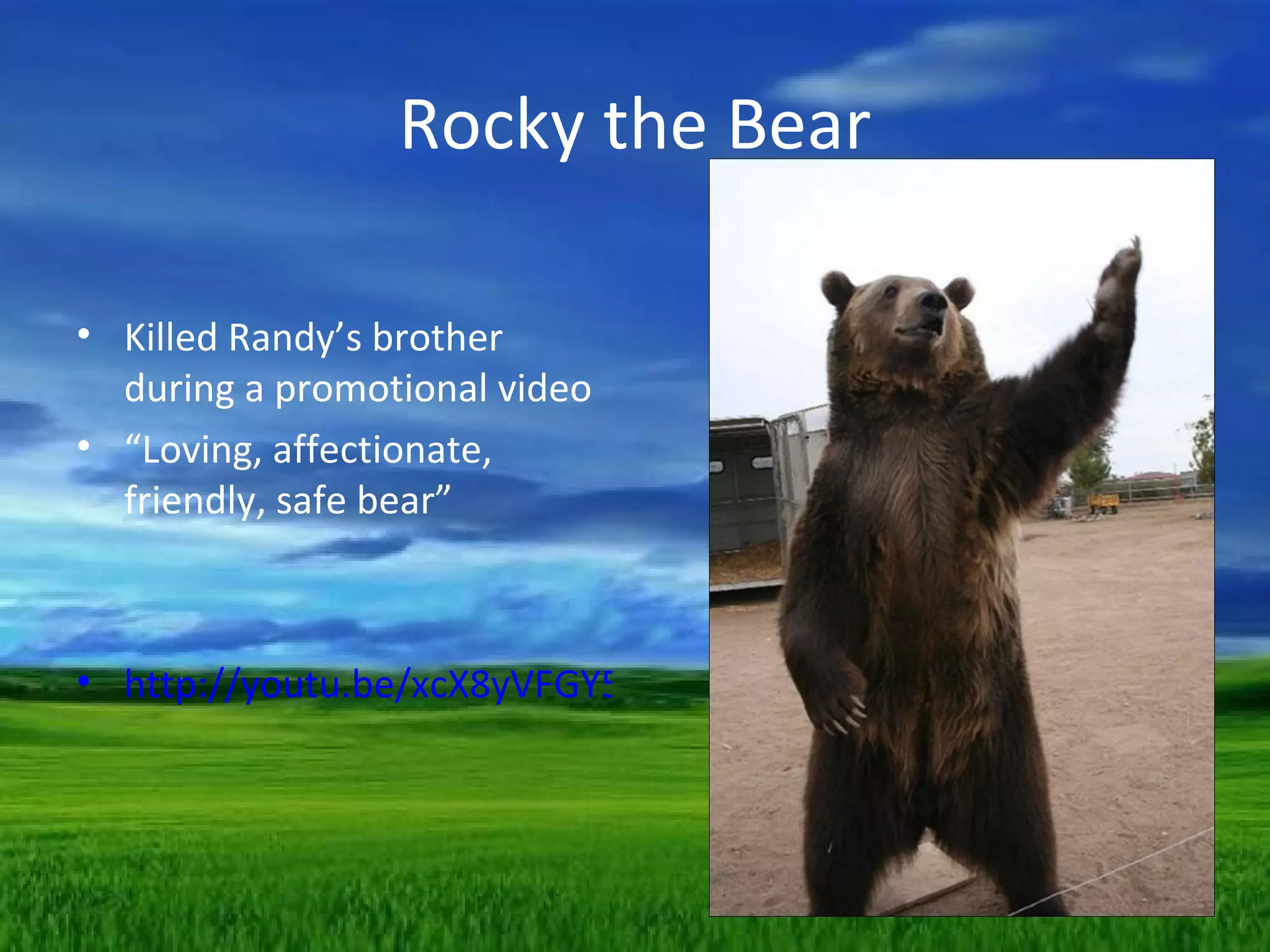 Animals in entertainment | PPT