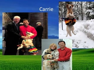 Animals in entertainment | PPT