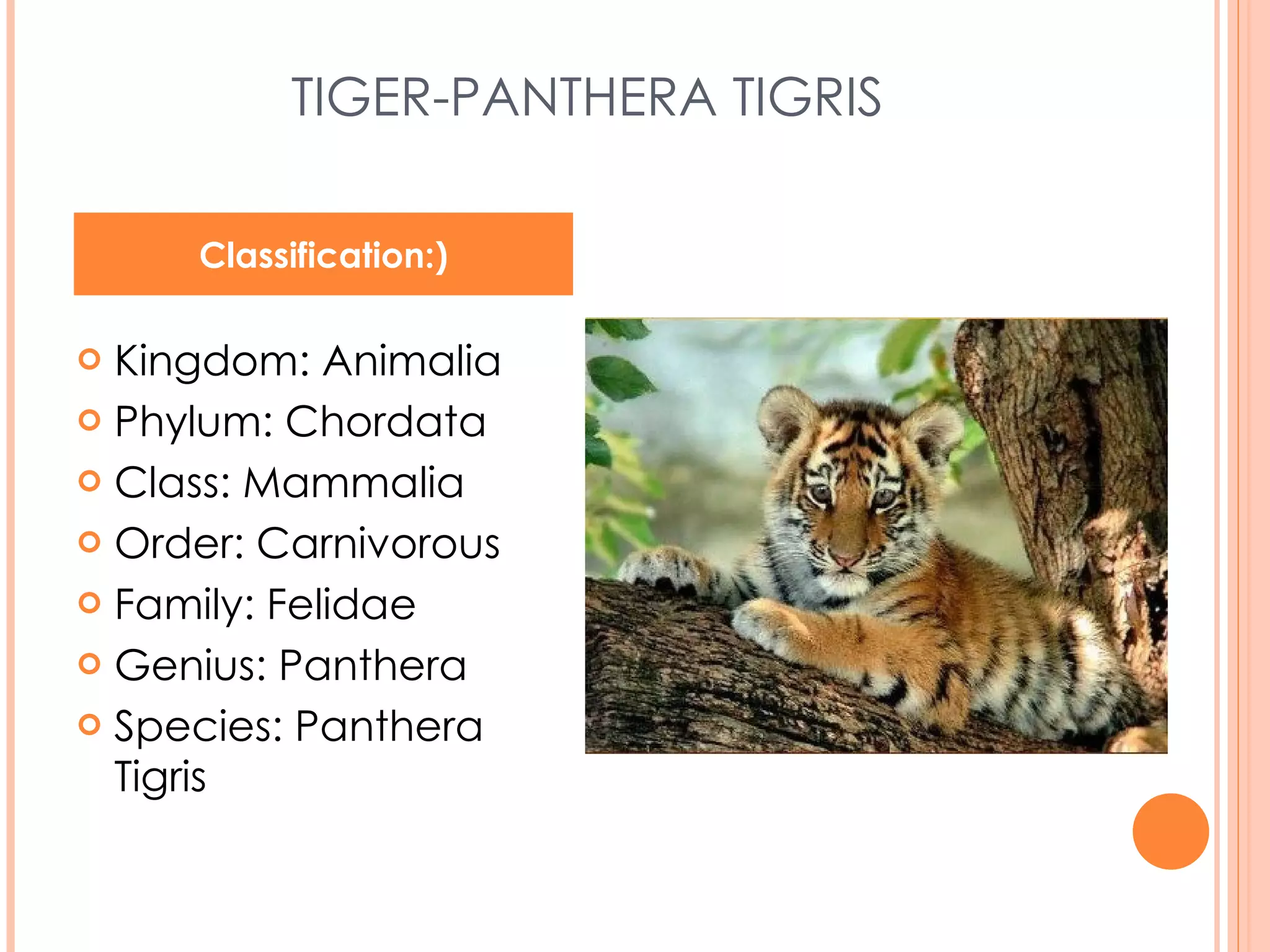 Animals In Extinction Danger. | PPT | Cats | Pets