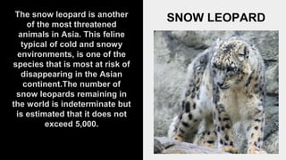 Animals in extintion and natural disaster | PPTX