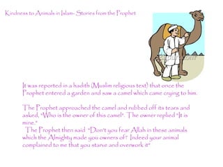 Treatment of Animals in Islam | PPS