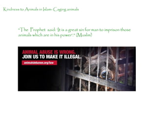 Treatment of Animals in Islam | PPS