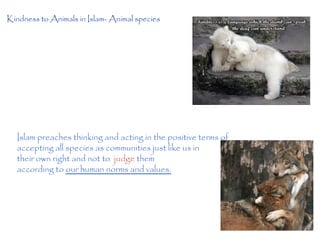 Treatment of Animals in Islam | PPS