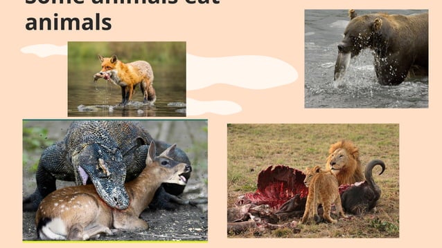 Animals in local habitats.pptx for 5 classses | PPTX