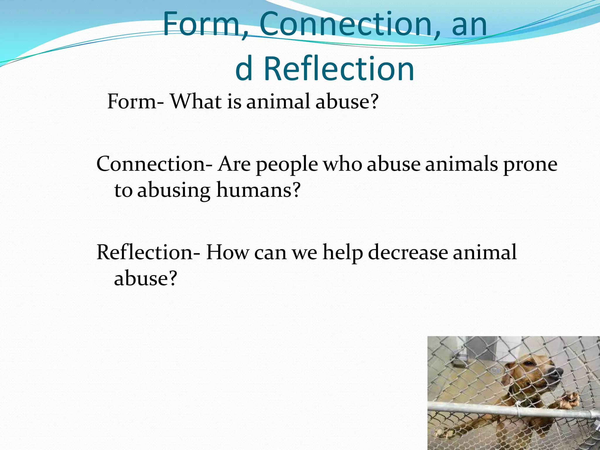 Animal Cruelty- Rm 21 | PPTX