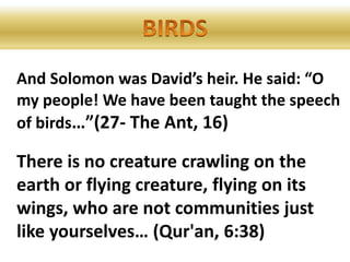 Animals in quran | PPT