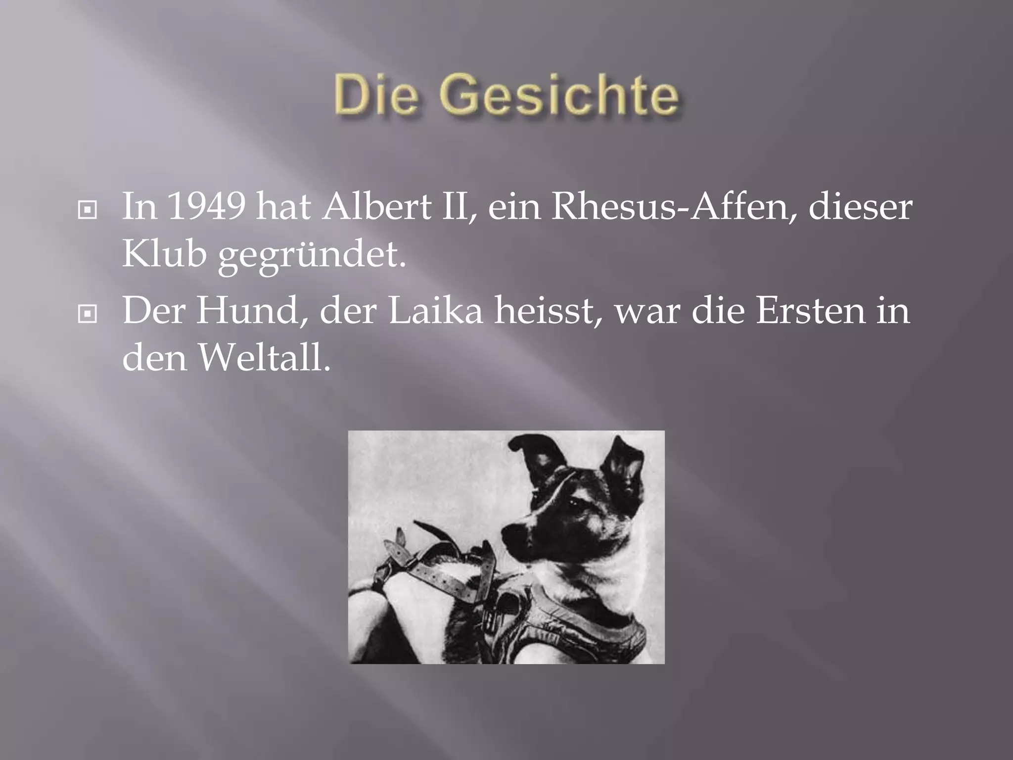 Animals in Space | PPTX