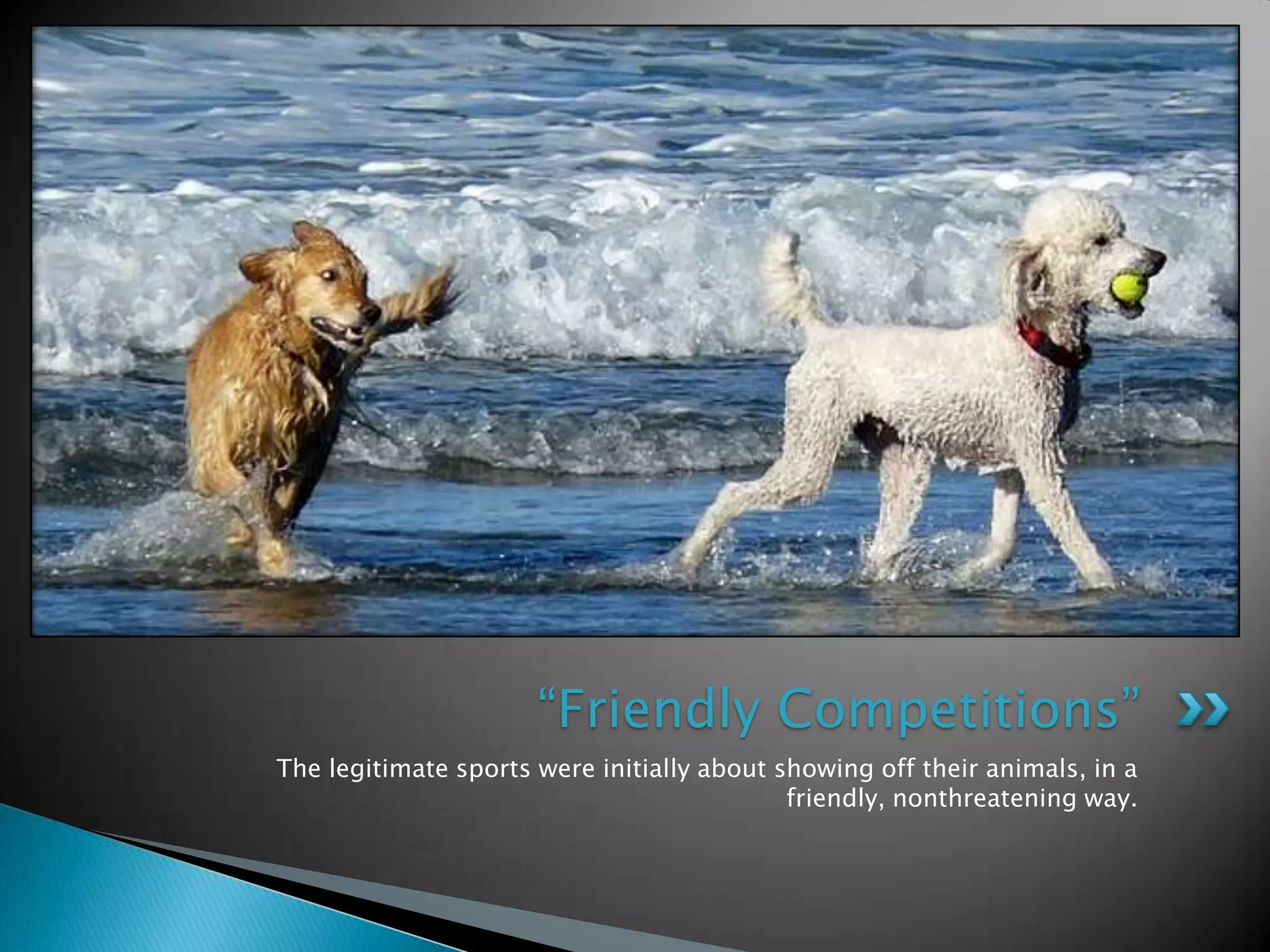 Animals in Sports | PPTX