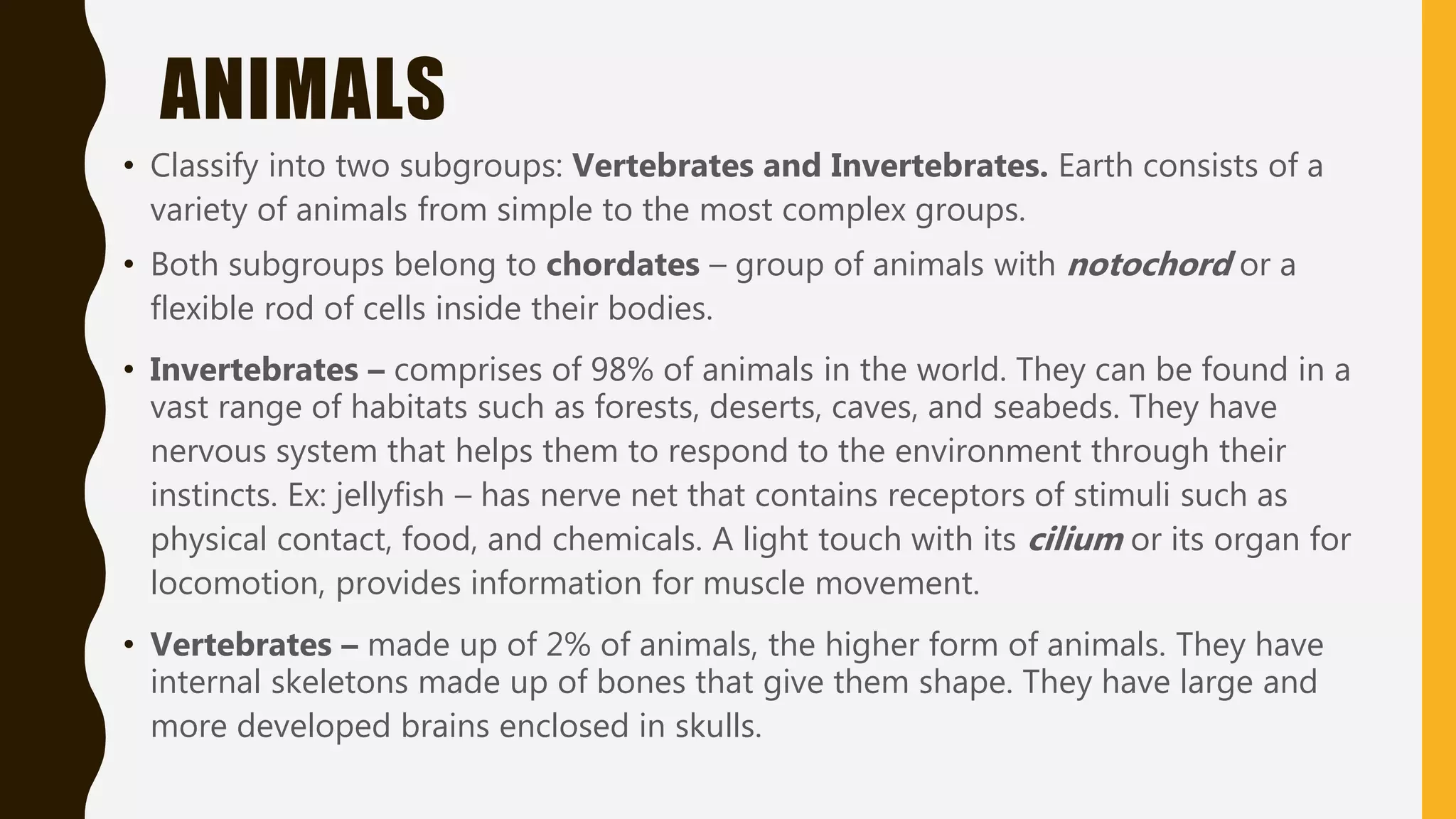 Animals in the environment | PPTX