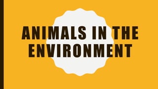 Animals in the environment | PPTX | Birds | Pets